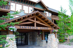 Tamarack Lodge | Invermere Panorama