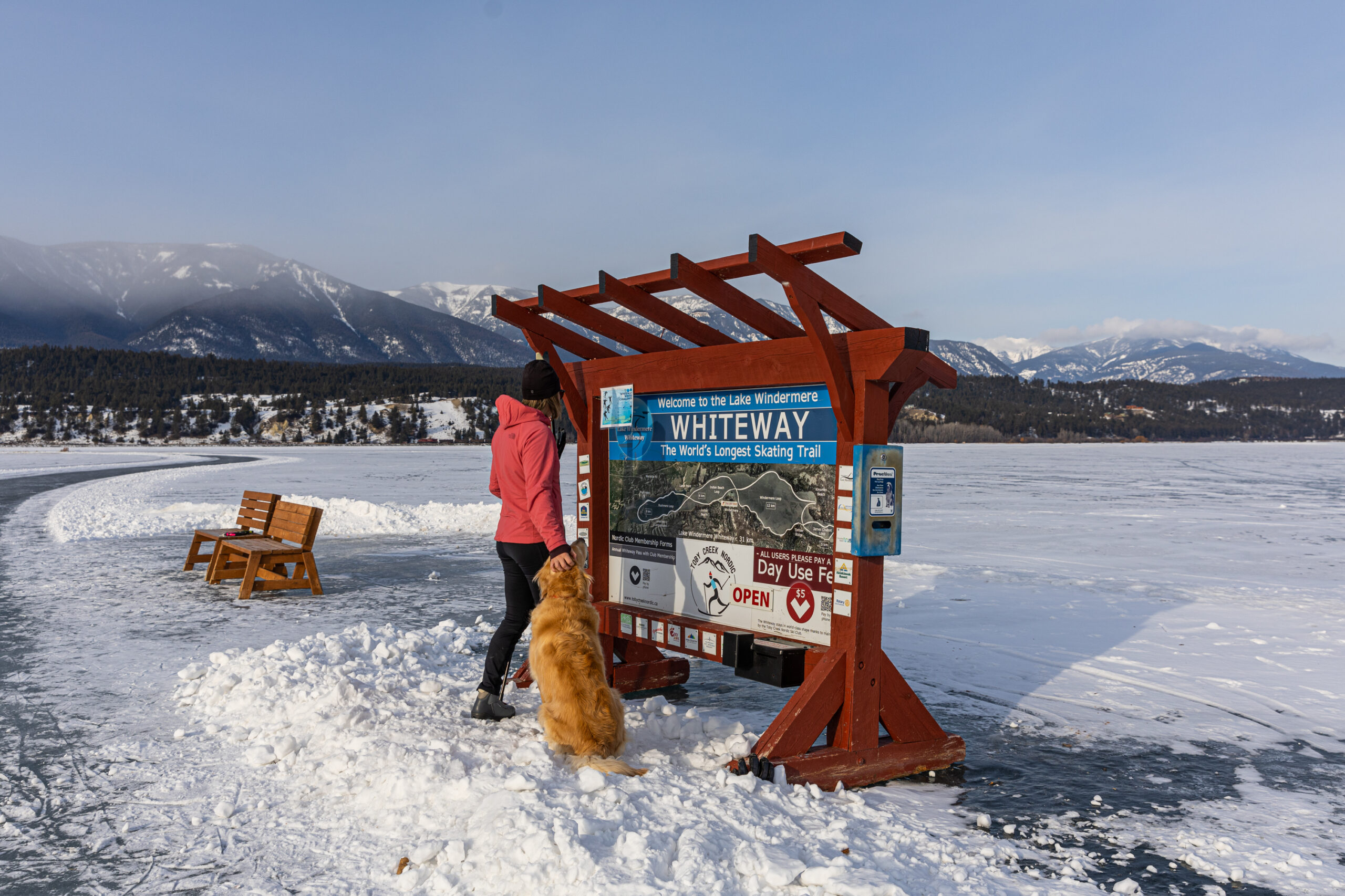 Skating The Lake Windermere Whiteway - Invermere Panorama
